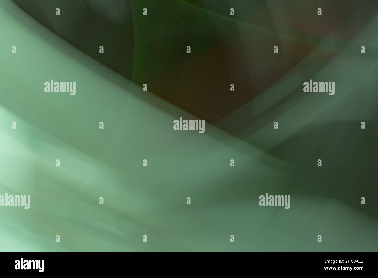 Abstract background banner in dark green colors. Photo effect, light ...