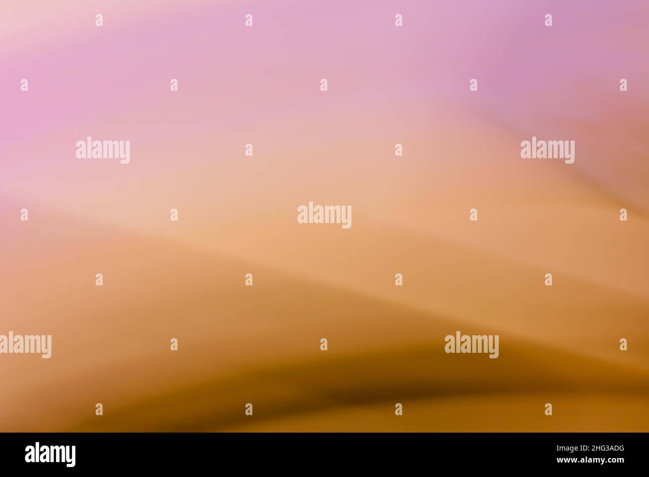 Orange pink abstract banner background. Slanting wave lines with a soft ...