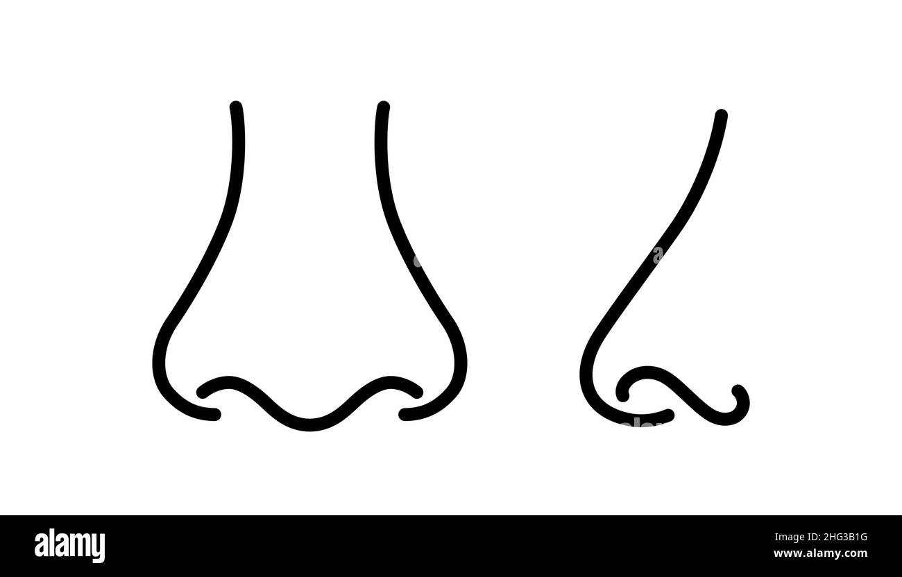 Cartoon Noses Front View