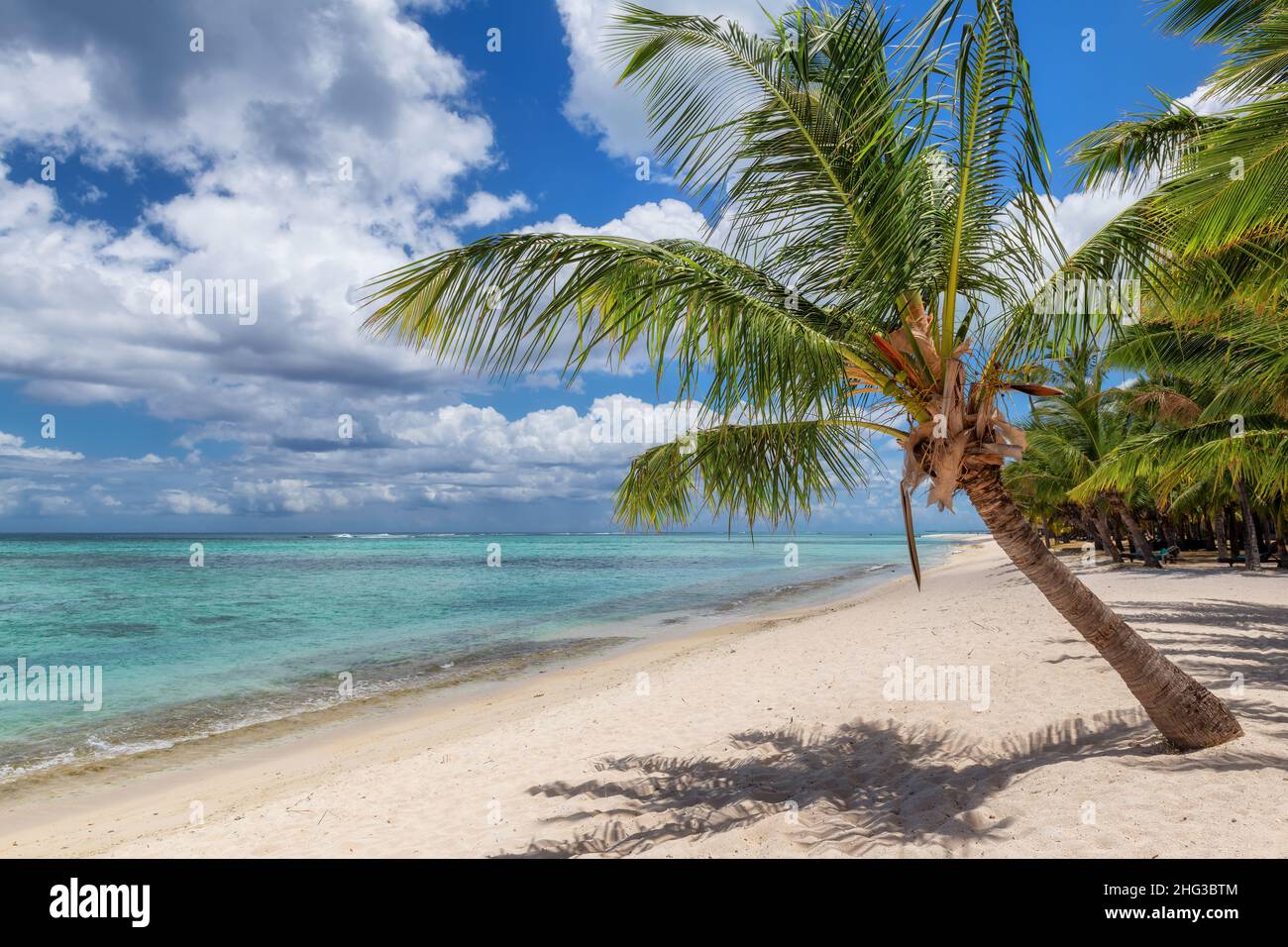 Paradise beach with white sand and coco palms Stock Photo - Alamy