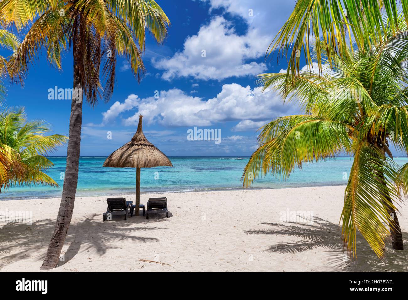 Tropical sunny beach in Mauritius island Stock Photo - Alamy