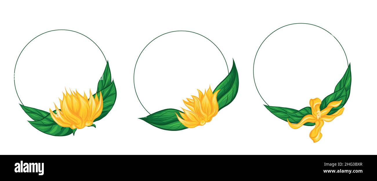 Vector set of circle frames with flat hand drawn tropical flowers ylang ...