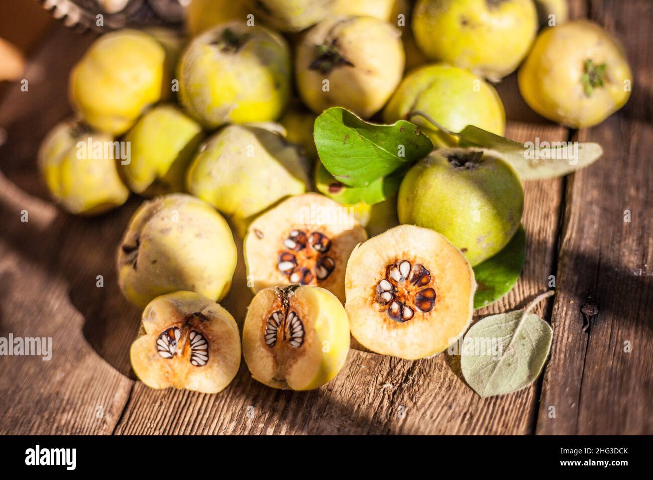 Quince fruits on a wooden background. Harvest of autumn fruits. Yellow ...