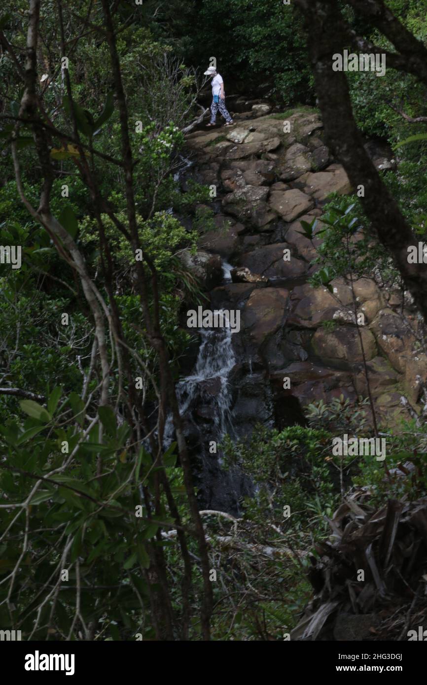 Alexandra Falls View Point Stock Photo - Alamy
