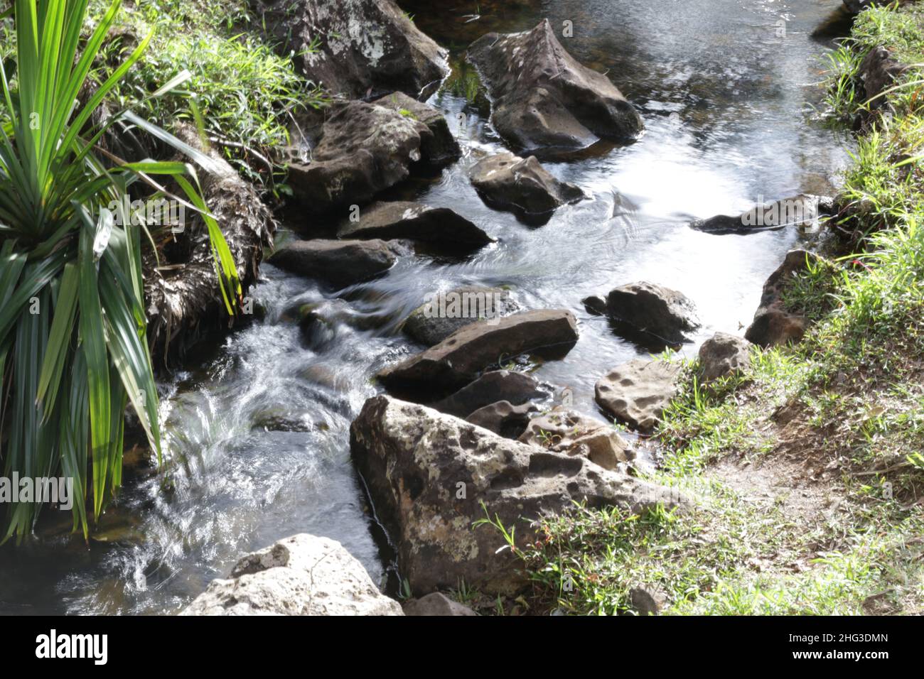 Alexandra Falls View Point Stock Photo - Alamy
