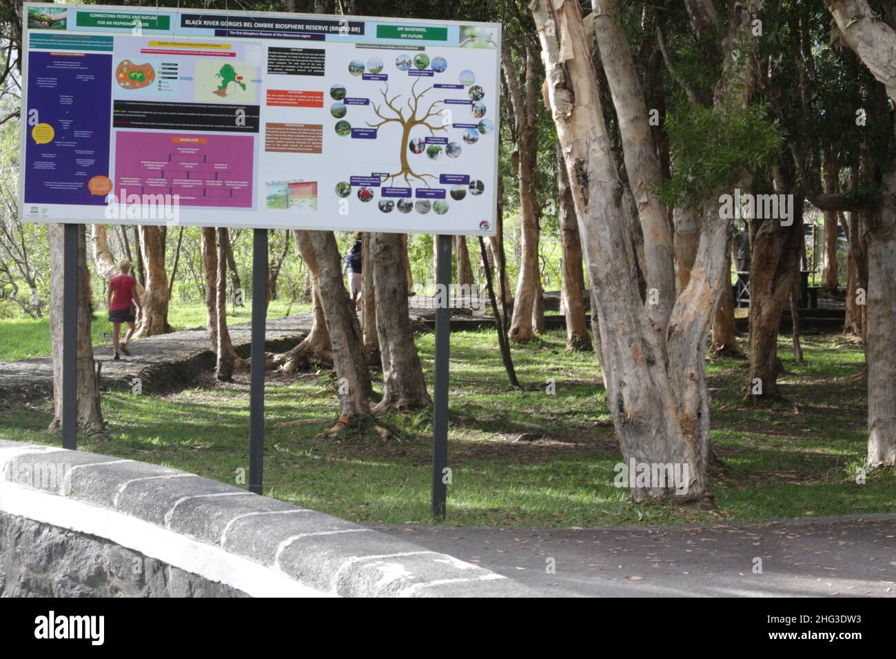 Alexandra Falls View Point Stock Photo - Alamy