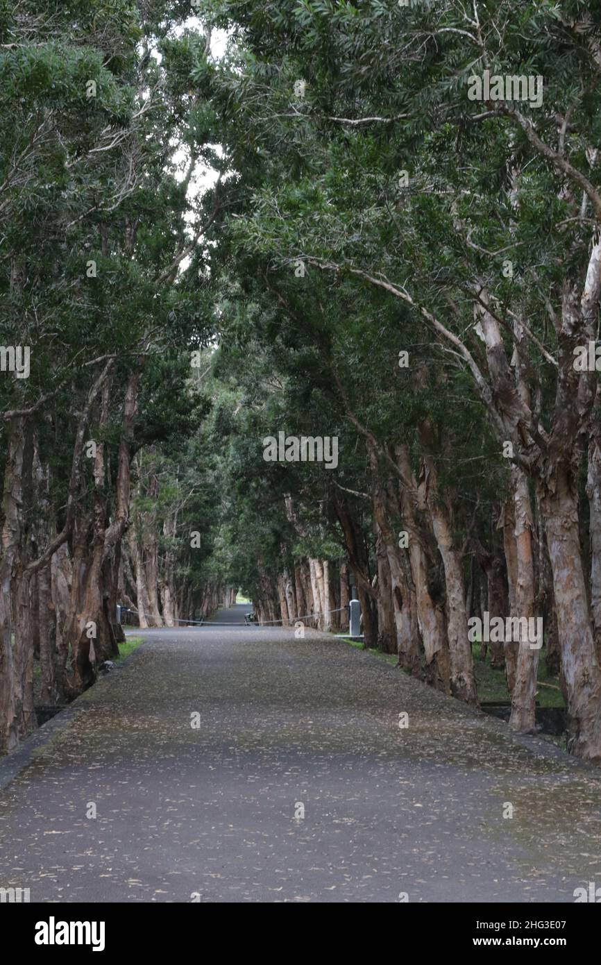 Alexandra Falls View Point Stock Photo - Alamy