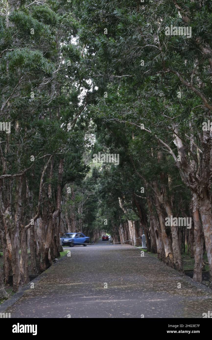 Alexandra Falls View Point Stock Photo - Alamy