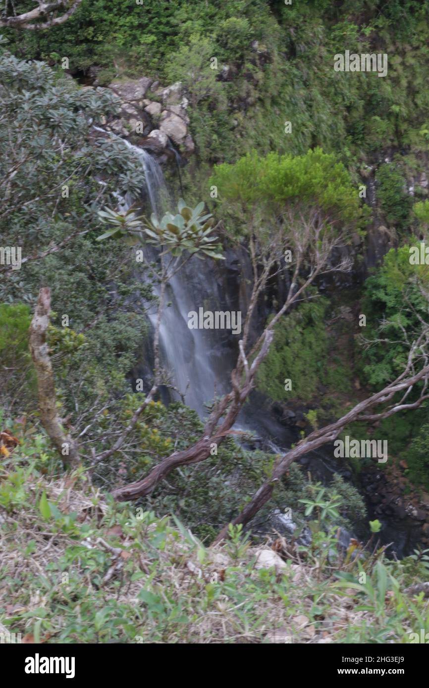 Alexandra Falls View Point Stock Photo - Alamy
