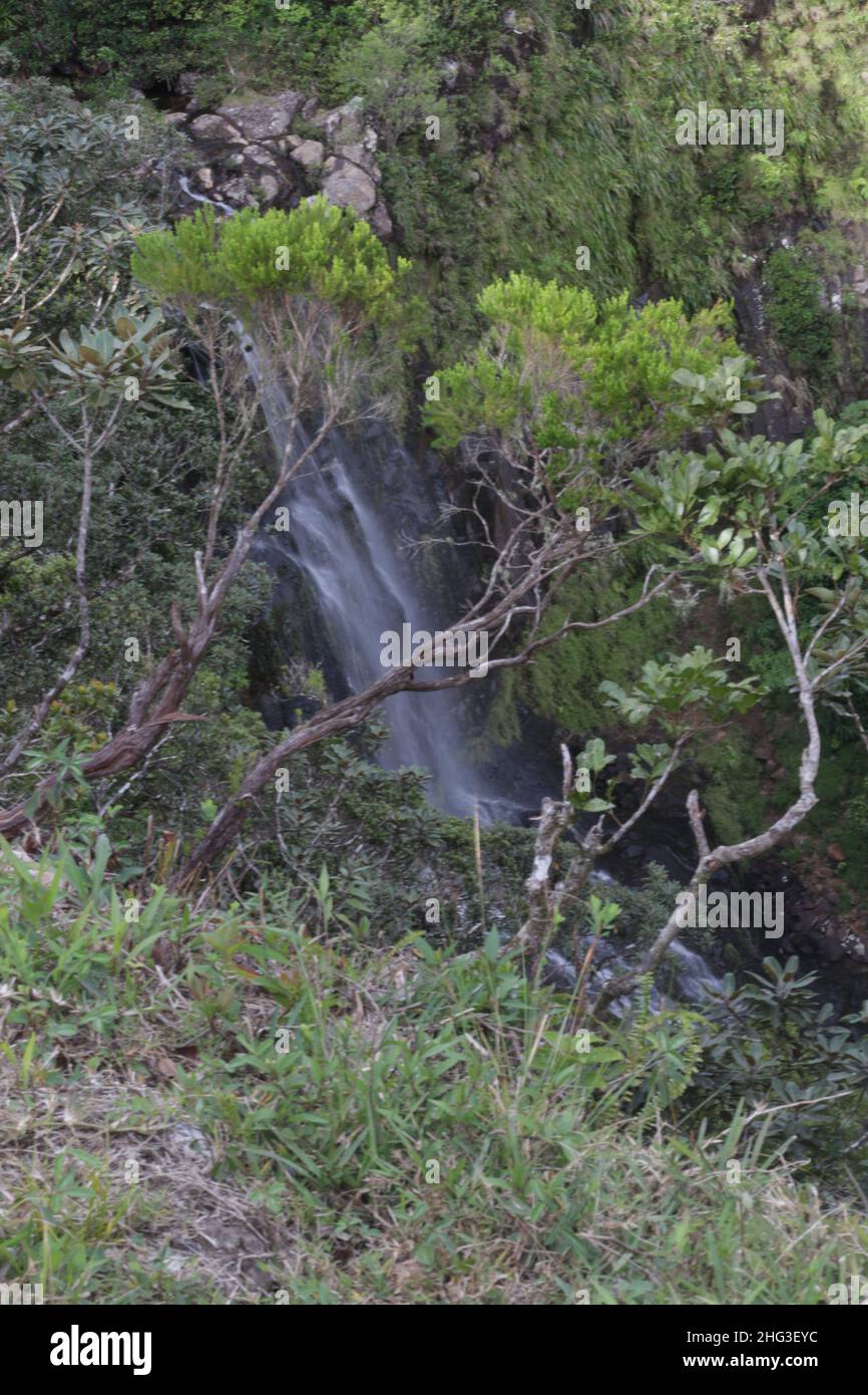 Alexandra Falls View Point Stock Photo - Alamy