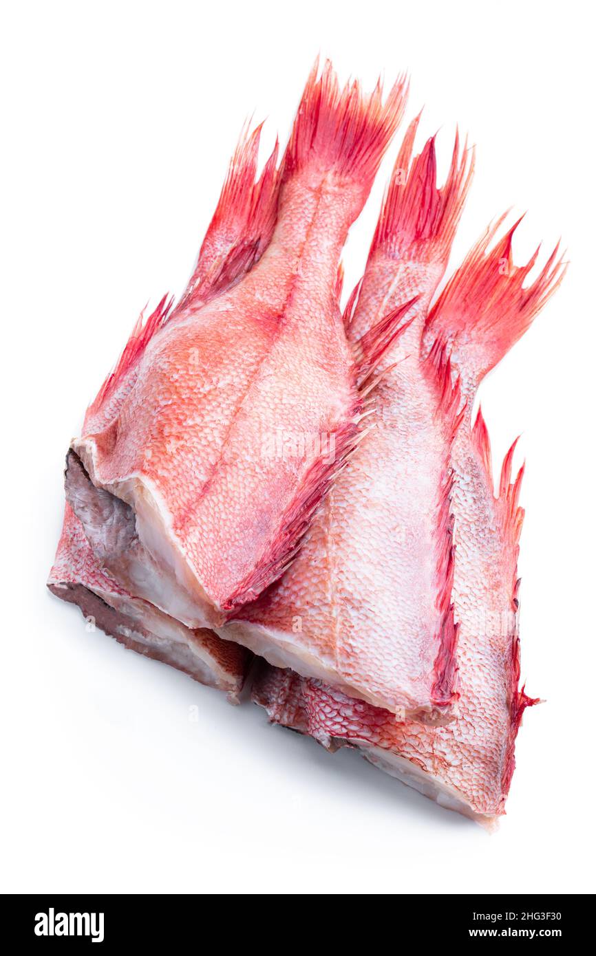 Sebastes species Cut Out Stock Images & Pictures - Alamy