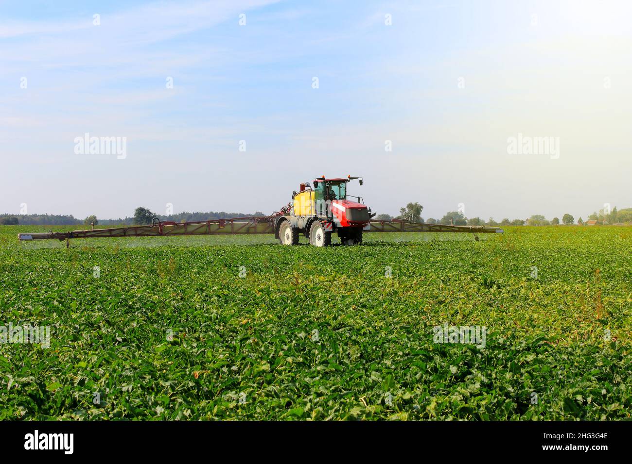 Tractor spraying plant protection products on a green sugar beet field ...