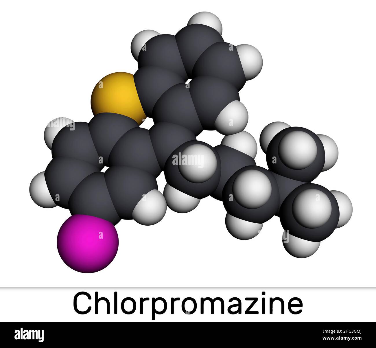 Amoeba model Cut Out Stock Images & Pictures - Alamy