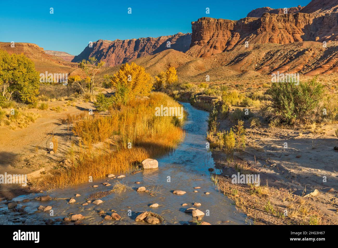 Paria River at Chair Crossing, Paria Canyon, near Lonely Dell Ranch ...
