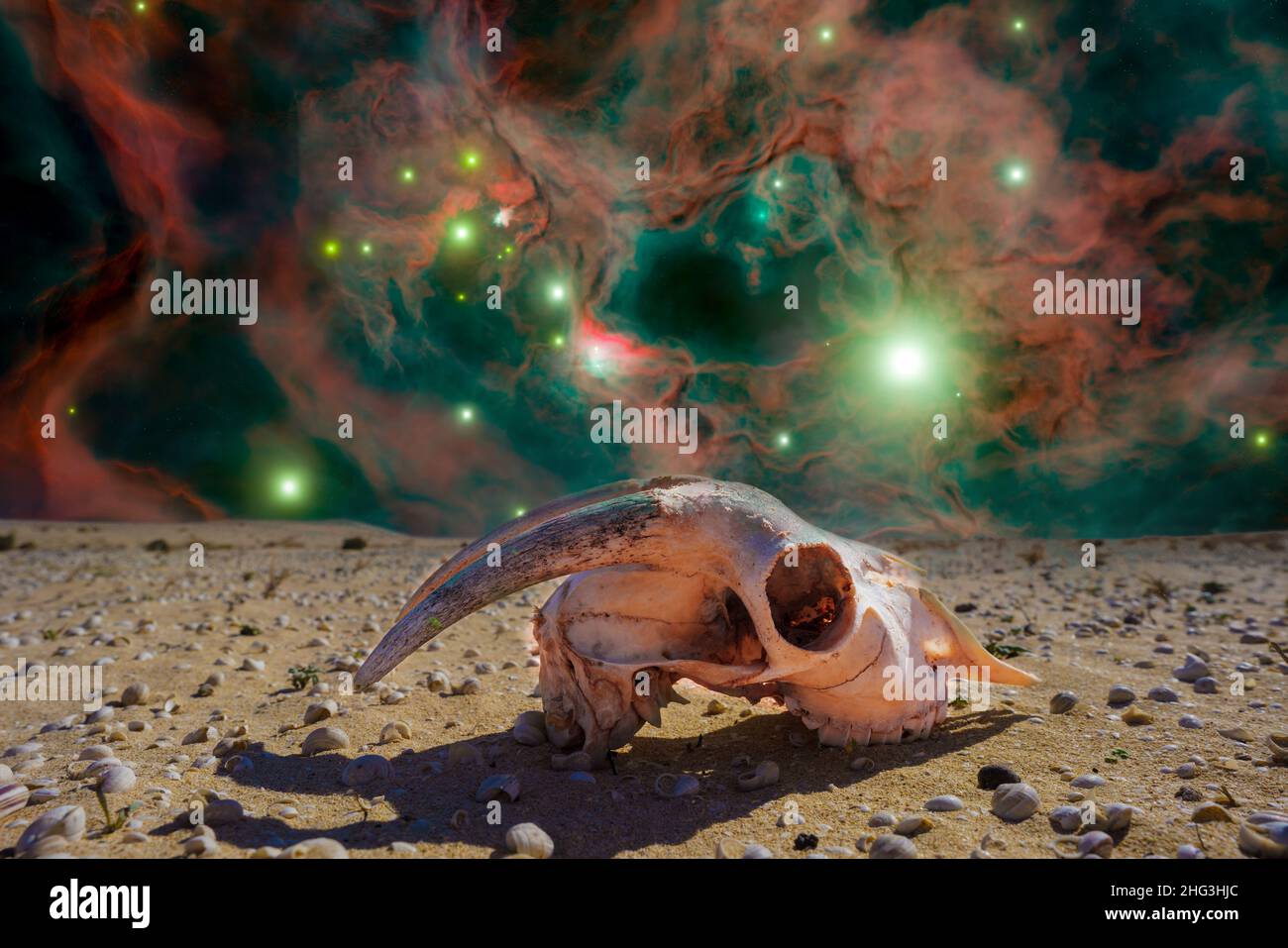 Fantastic alien mountain landscape with alien skull and space nebula in ...