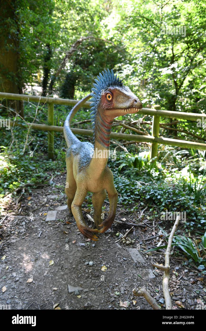 Port Lympne Animal Reserve, Kent UK Stock Photo - Alamy