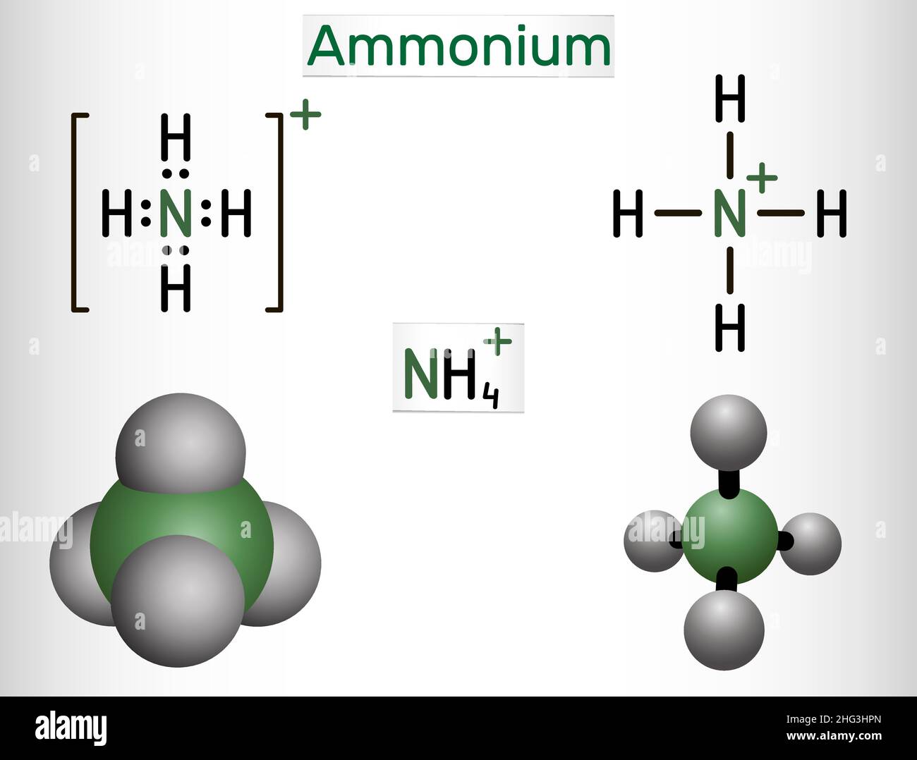 Ammonium Ion