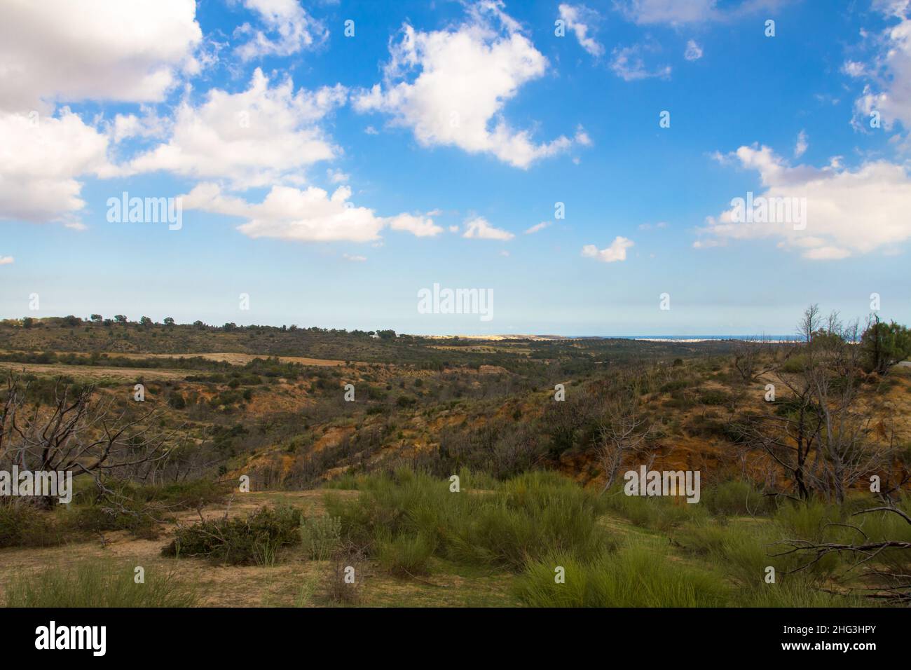desert landscape in tunisia with an oasis Stock Photo - Alamy