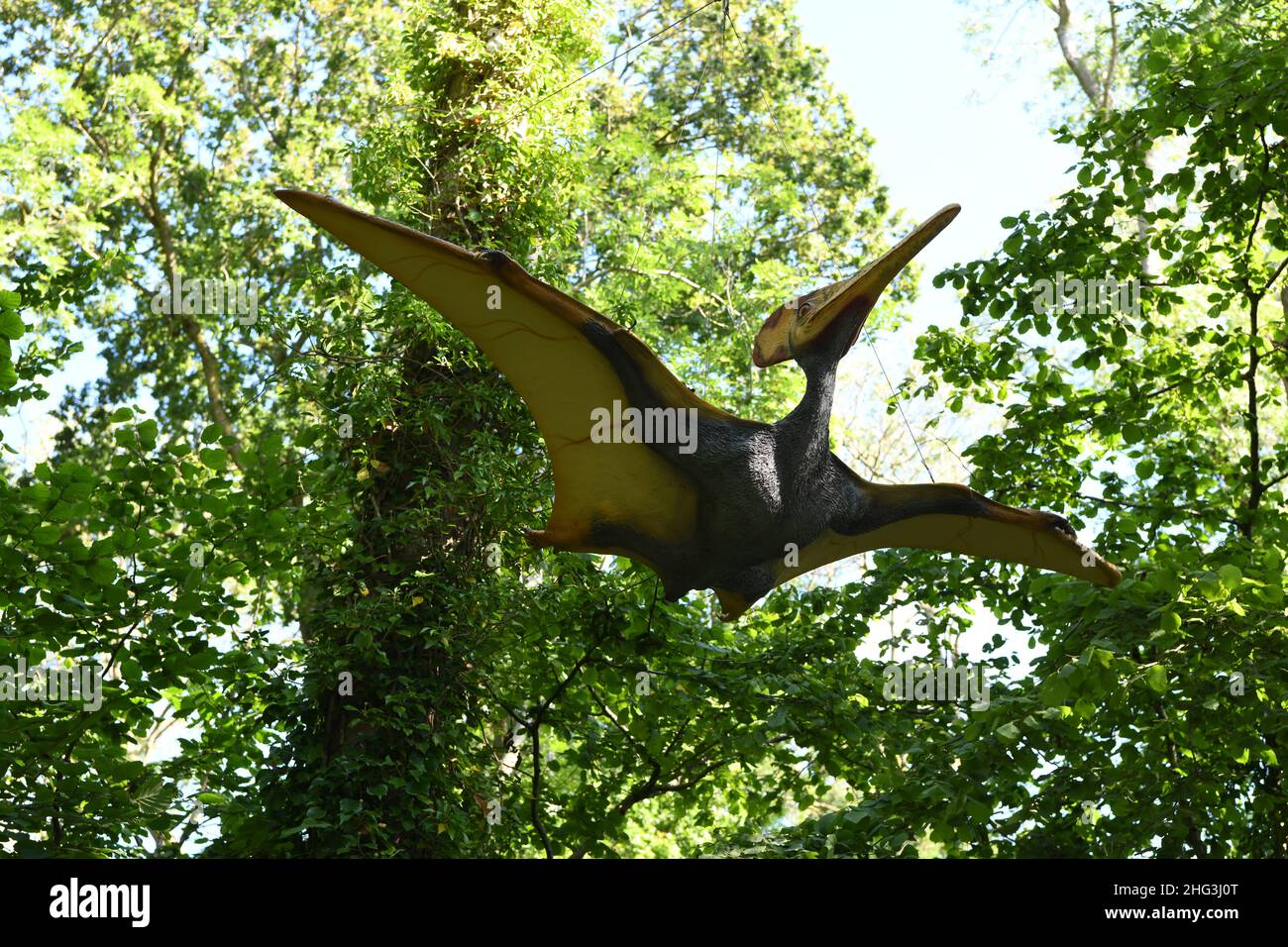 Port Lympne Animal Reserve, Kent UK Stock Photo - Alamy