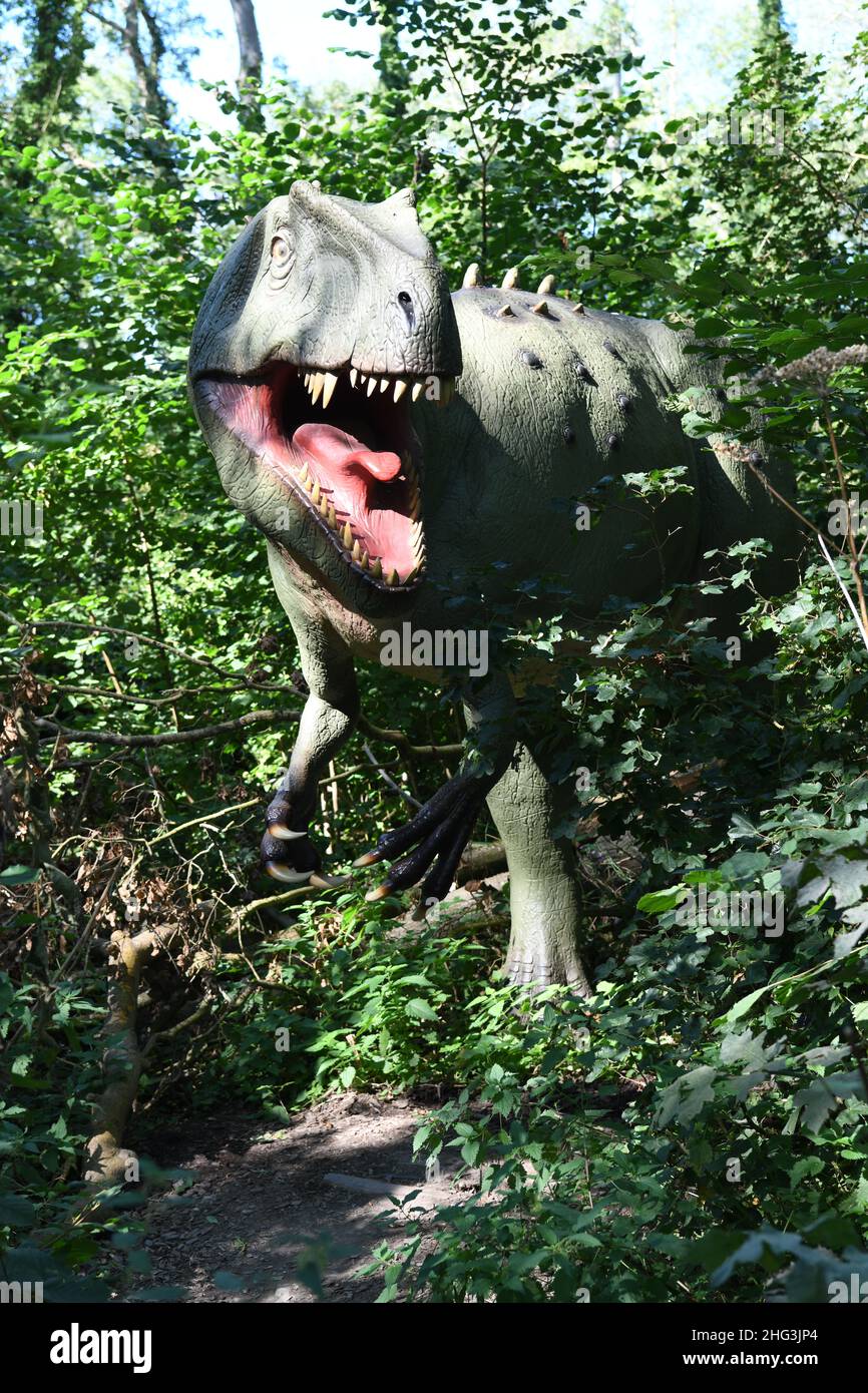 Port lympne animal reserve safari hi-res stock photography and images ...
