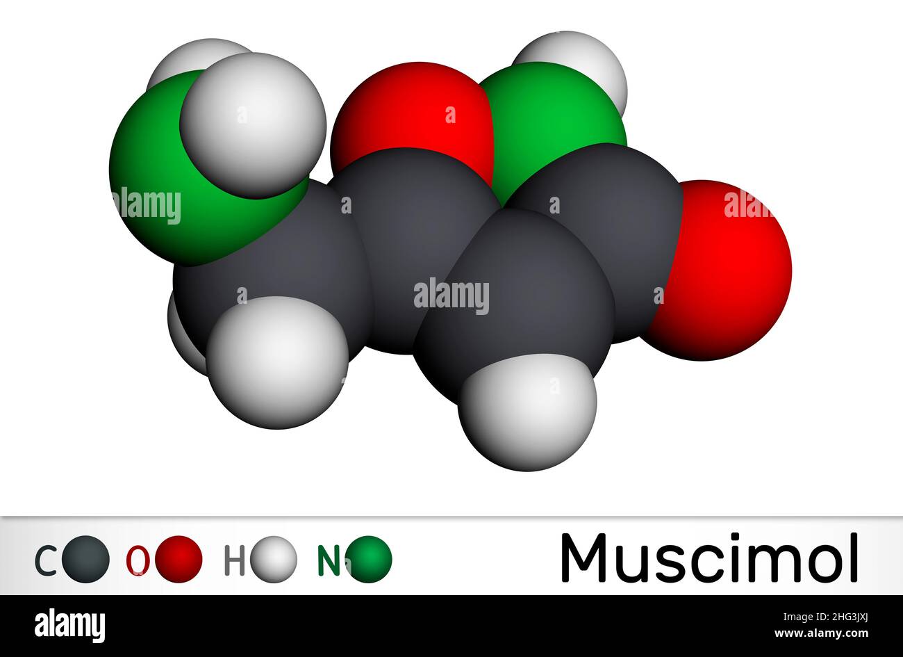 Muscimol, agarin, pantherine molecule. It is the main psychoactive ...