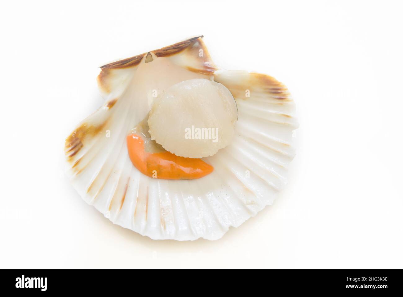 Scallops in shell Cut Out Stock Images & Pictures - Alamy