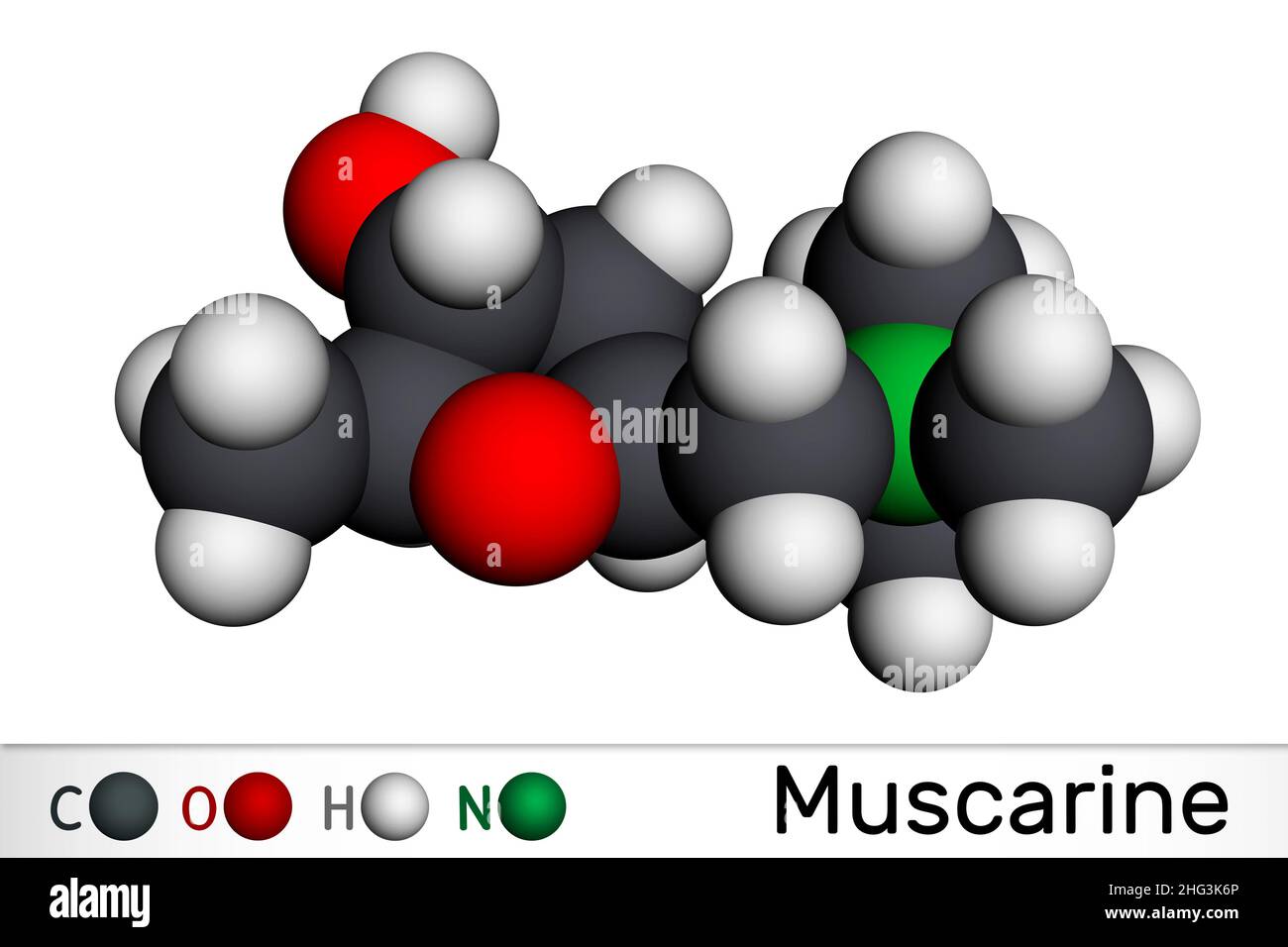 Muscarine molecular hi-res stock photography and images - Alamy
