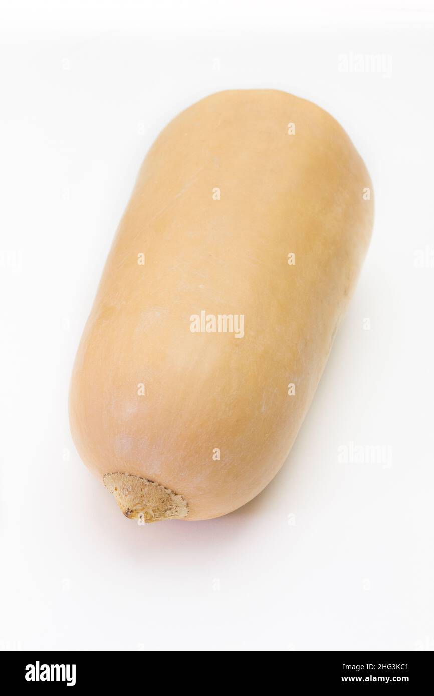 whole butternut on white background Stock Photo - Alamy