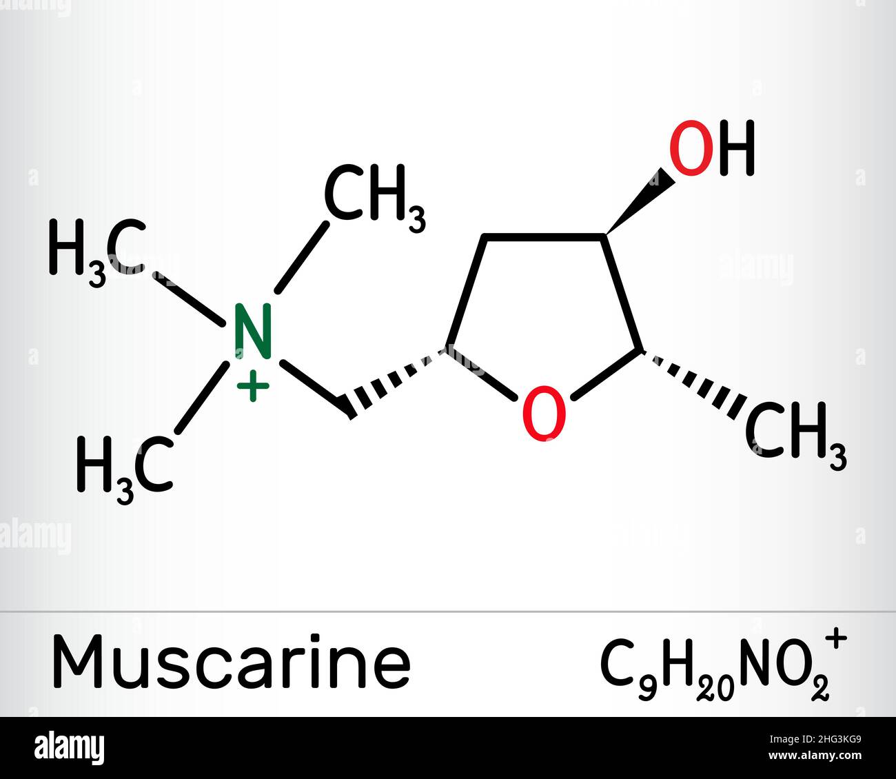 Muscarine Structure