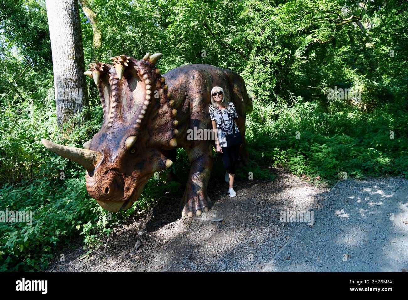 Port Lympne Animal Reserve, Kent UK Stock Photo - Alamy