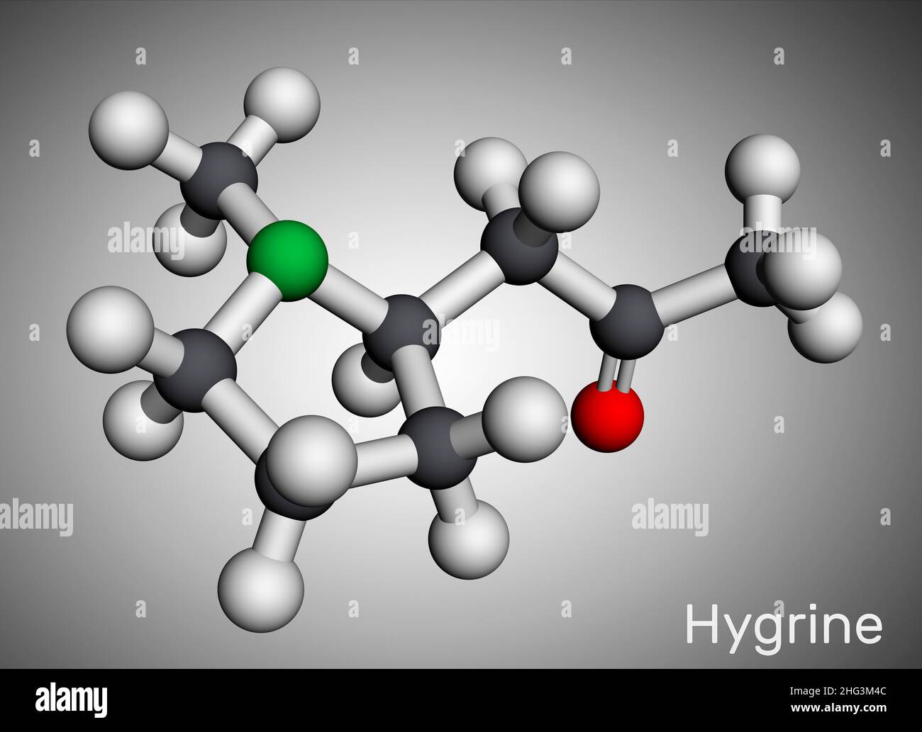 Pyrrolidine alkaloid hi-res stock photography and images - Alamy