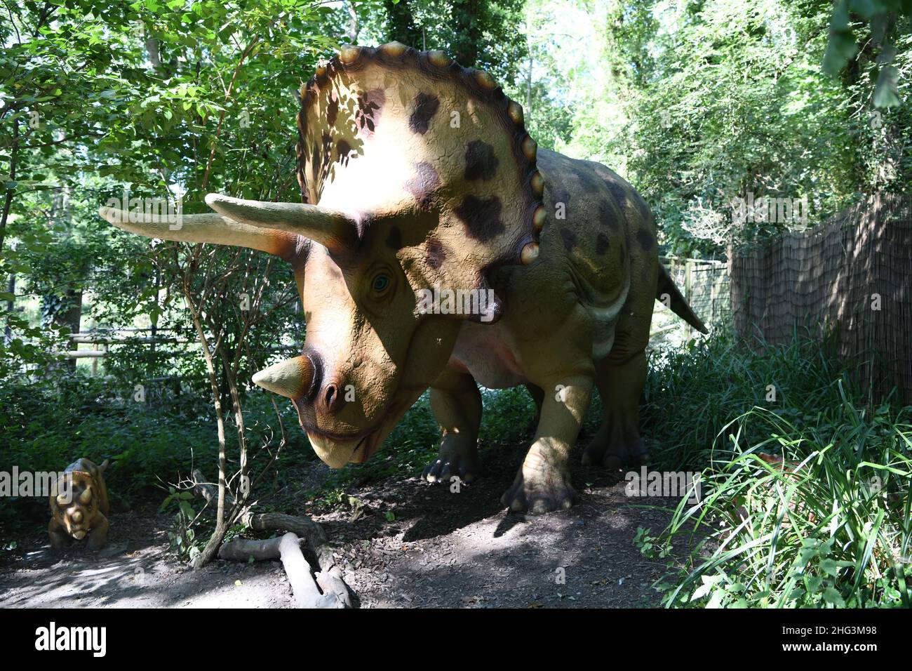 Port Lympne Animal Reserve, Kent UK Stock Photo - Alamy