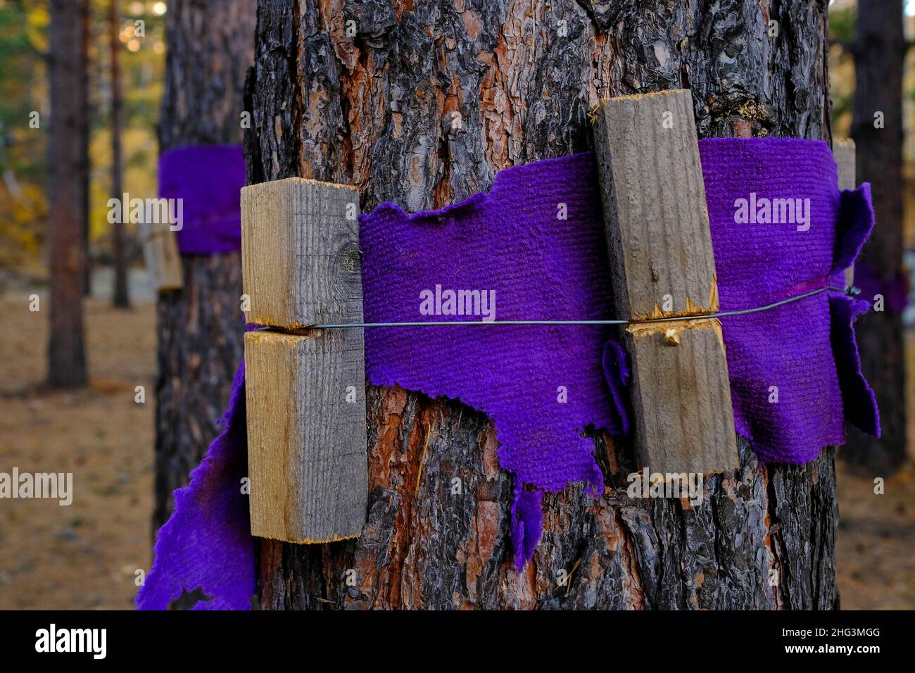 People protecting trees from hi-res stock photography and images - Alamy