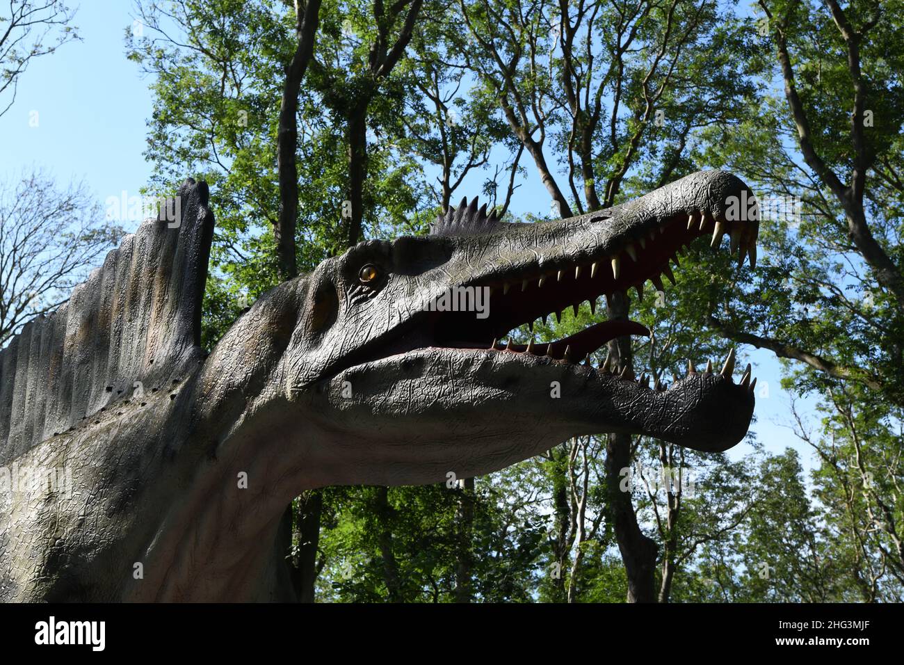 Port Lympne Animal Reserve, Kent UK Stock Photo - Alamy