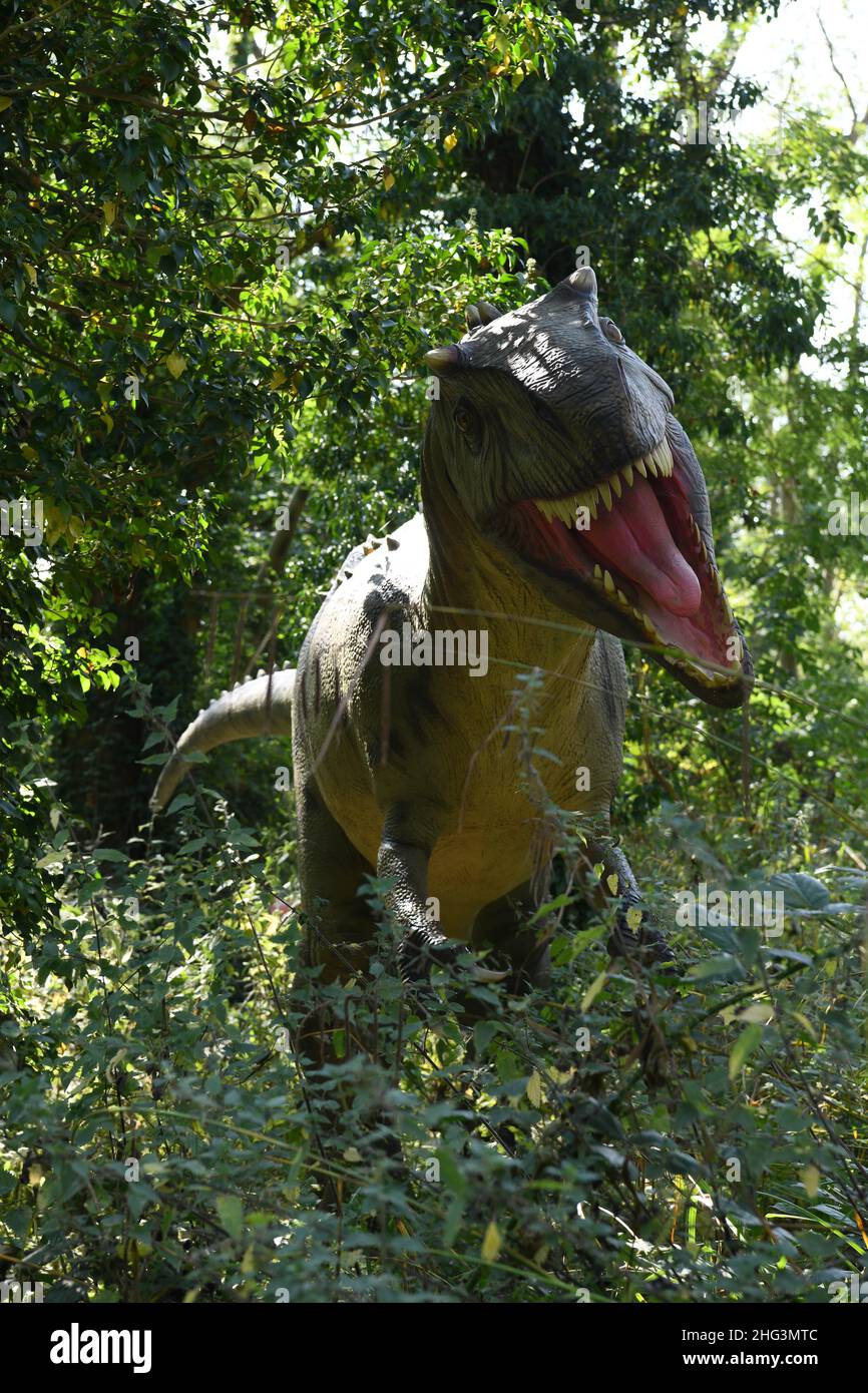 Port Lympne Animal Reserve, Kent UK Stock Photo - Alamy