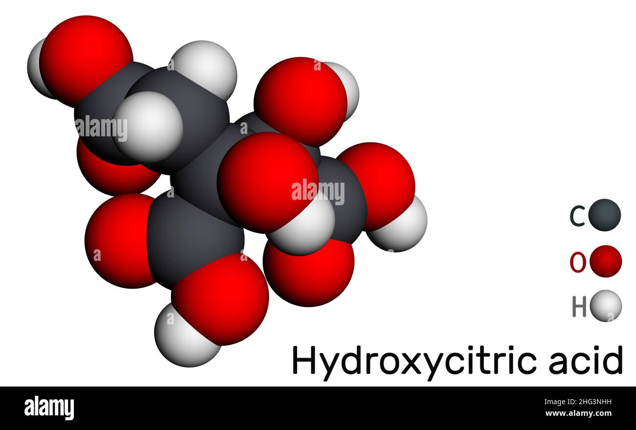 Hydroxycitric acid, HCA molecule. It is derivative of citric acid ...