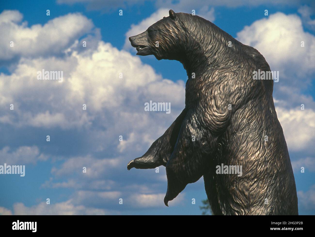USA, Montana, West Yellowstone, Grizzly Park, Statue of Grizzly Bear ...