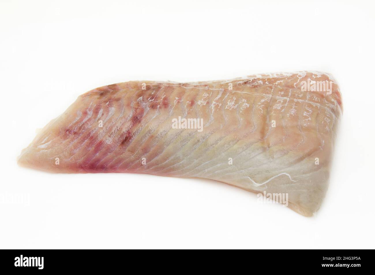 Saithe Cut Out Stock Images & Pictures - Alamy