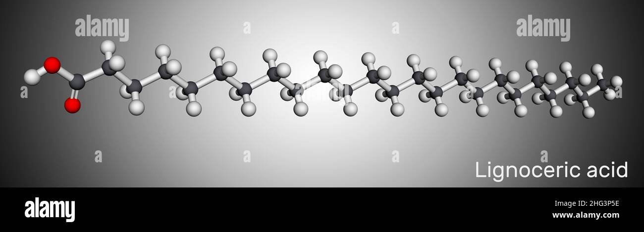 Lignoceric acid, tetracosanoic acid, saturated fatty acid molecule ...