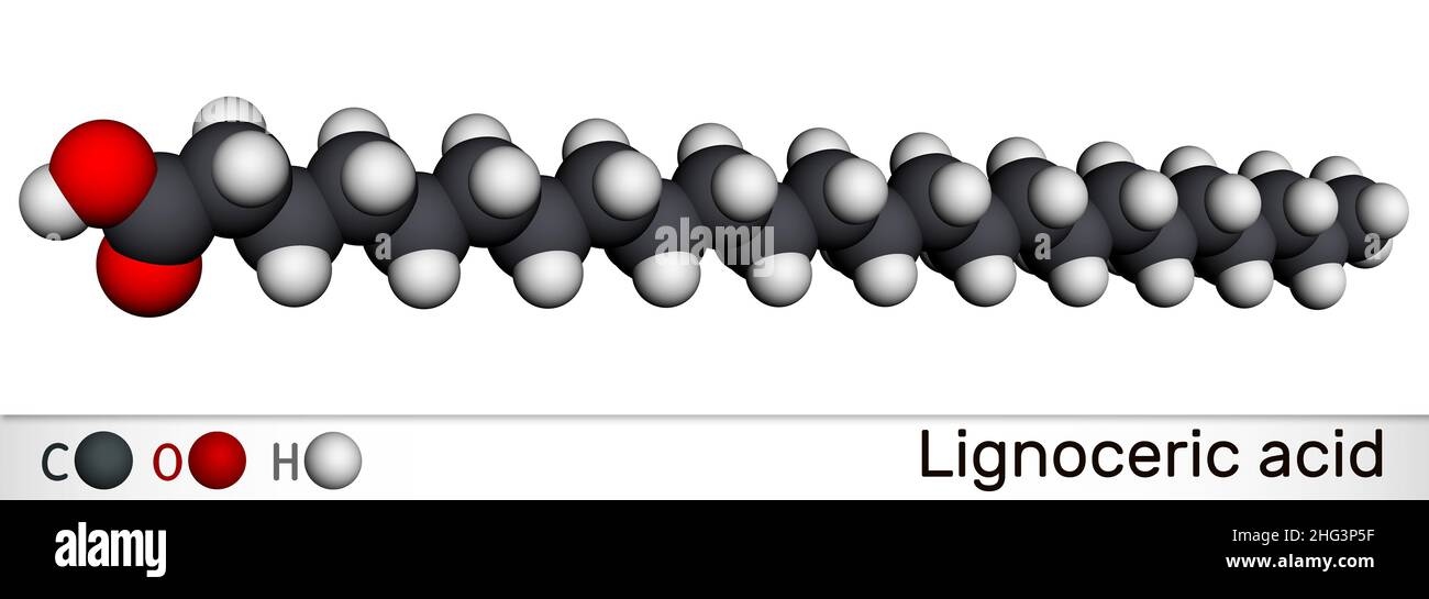 Lignoceric acid, tetracosanoic acid, saturated fatty acid molecule ...