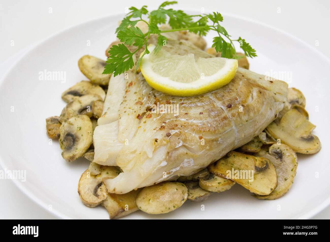 fillet of saithe on a bed of mushrooms in a plate and white background ...