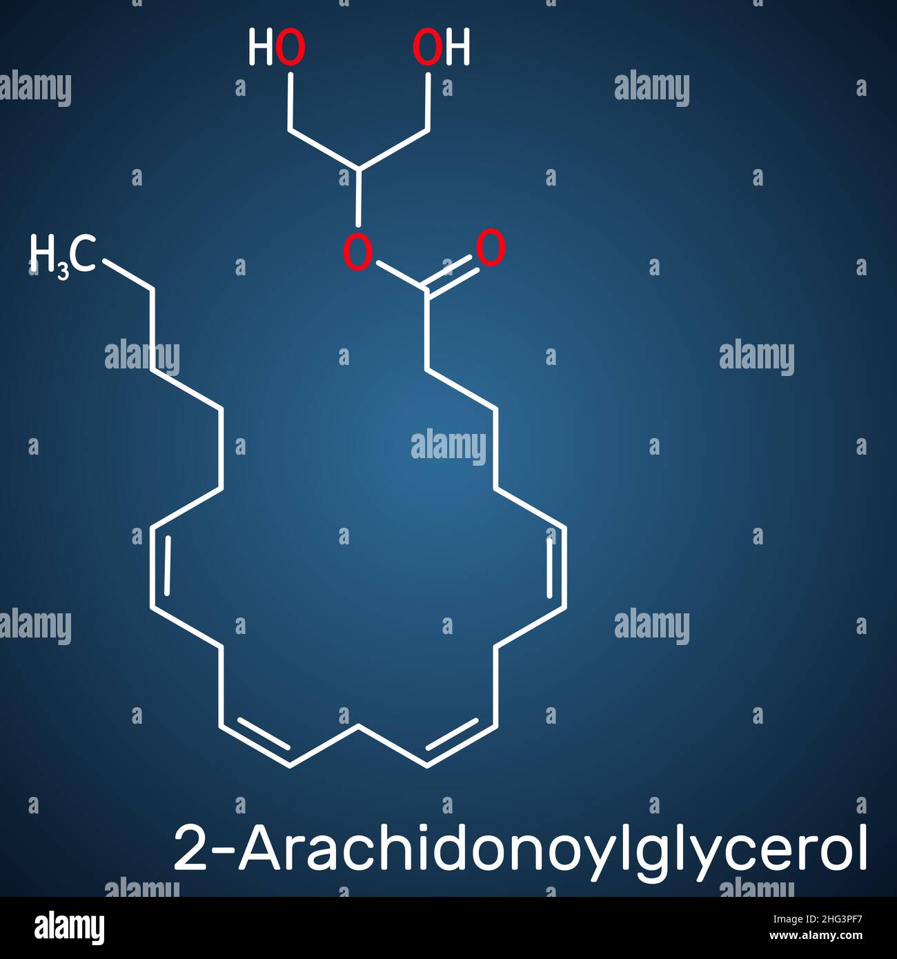 Arachidonic acid molecule Stock Vector Images - Alamy