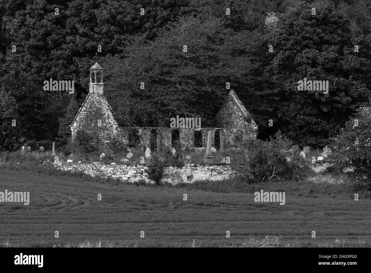 Red sandstone ruins of Lethendy parish church, it was founded in 1600 ...