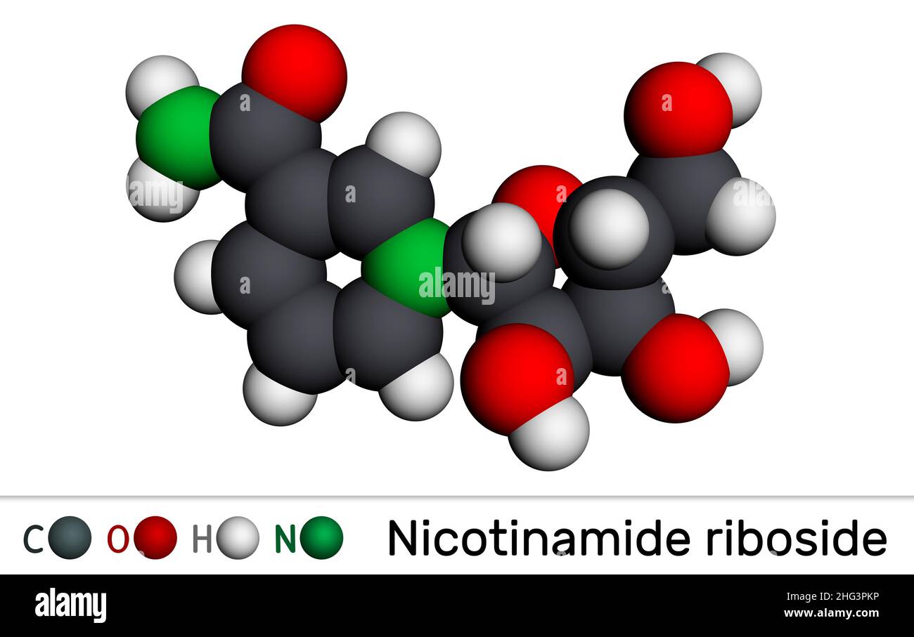 Nicotinamide riboside, NR, SR647 molecule. It is iN ...
