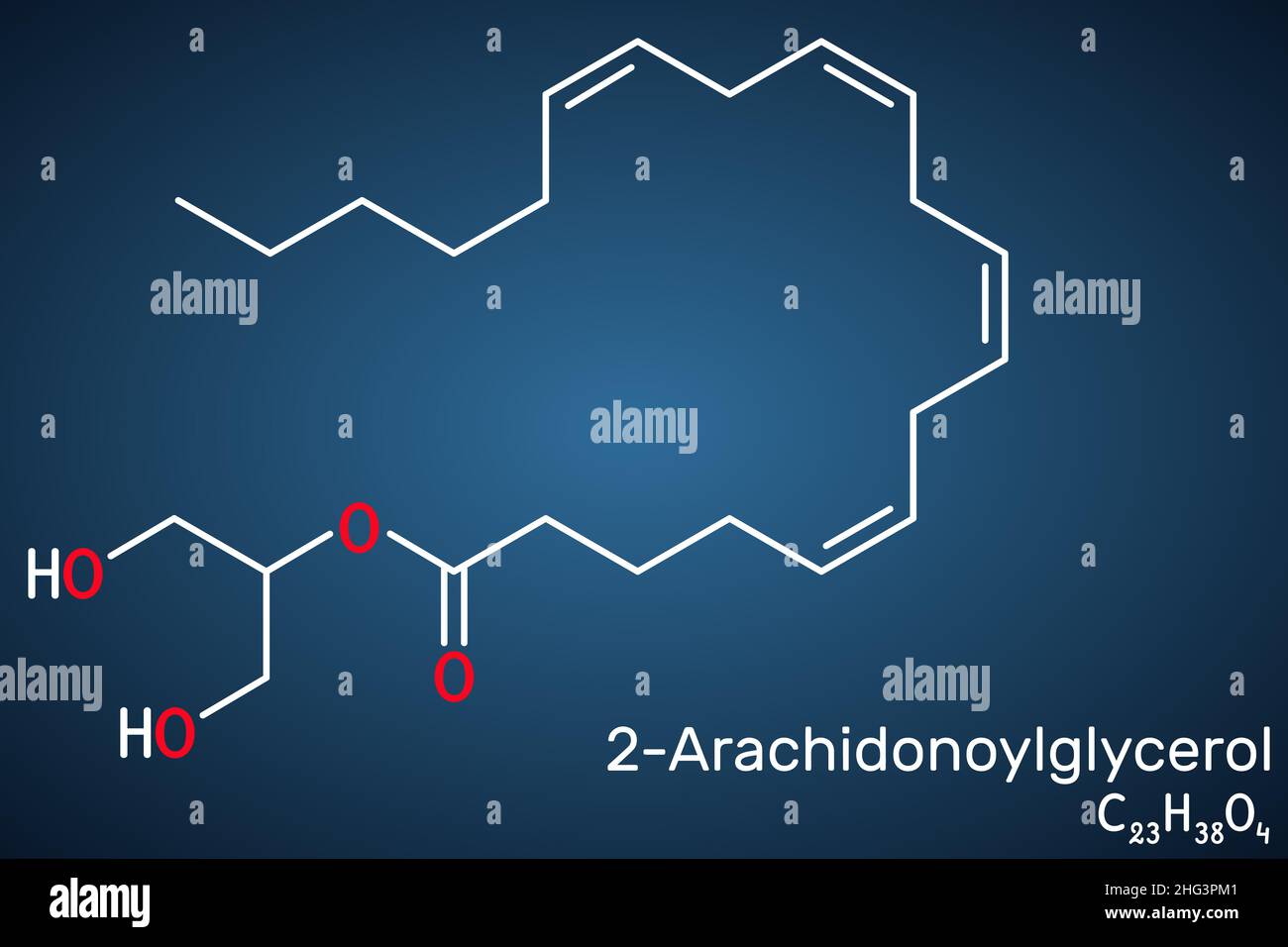2-Arachidonoylglycerol, 2-AG molecule. It is an endocannabinoid, formed ...