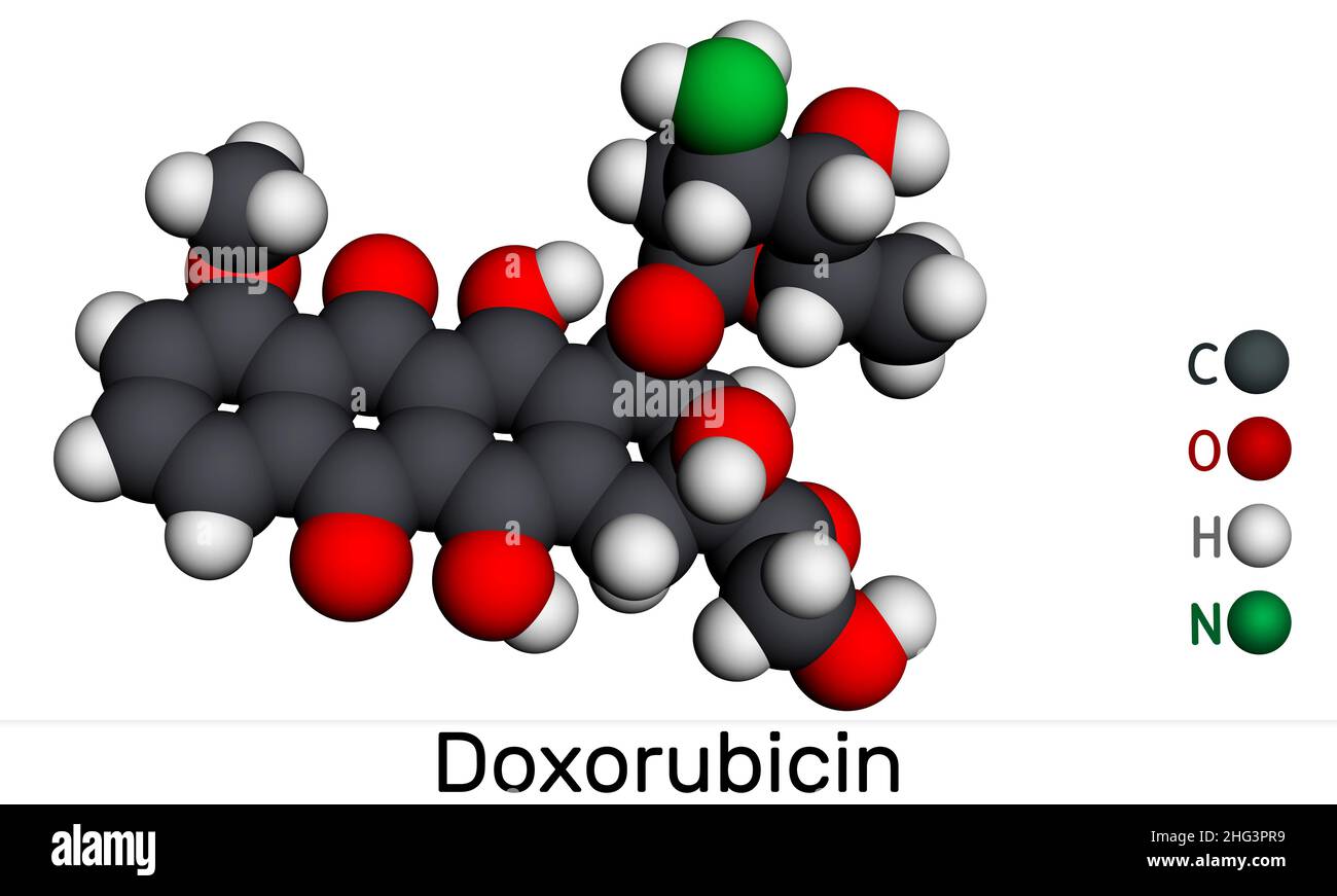 Doxorubicin molecule. It is anthracycline antibiotic with ...