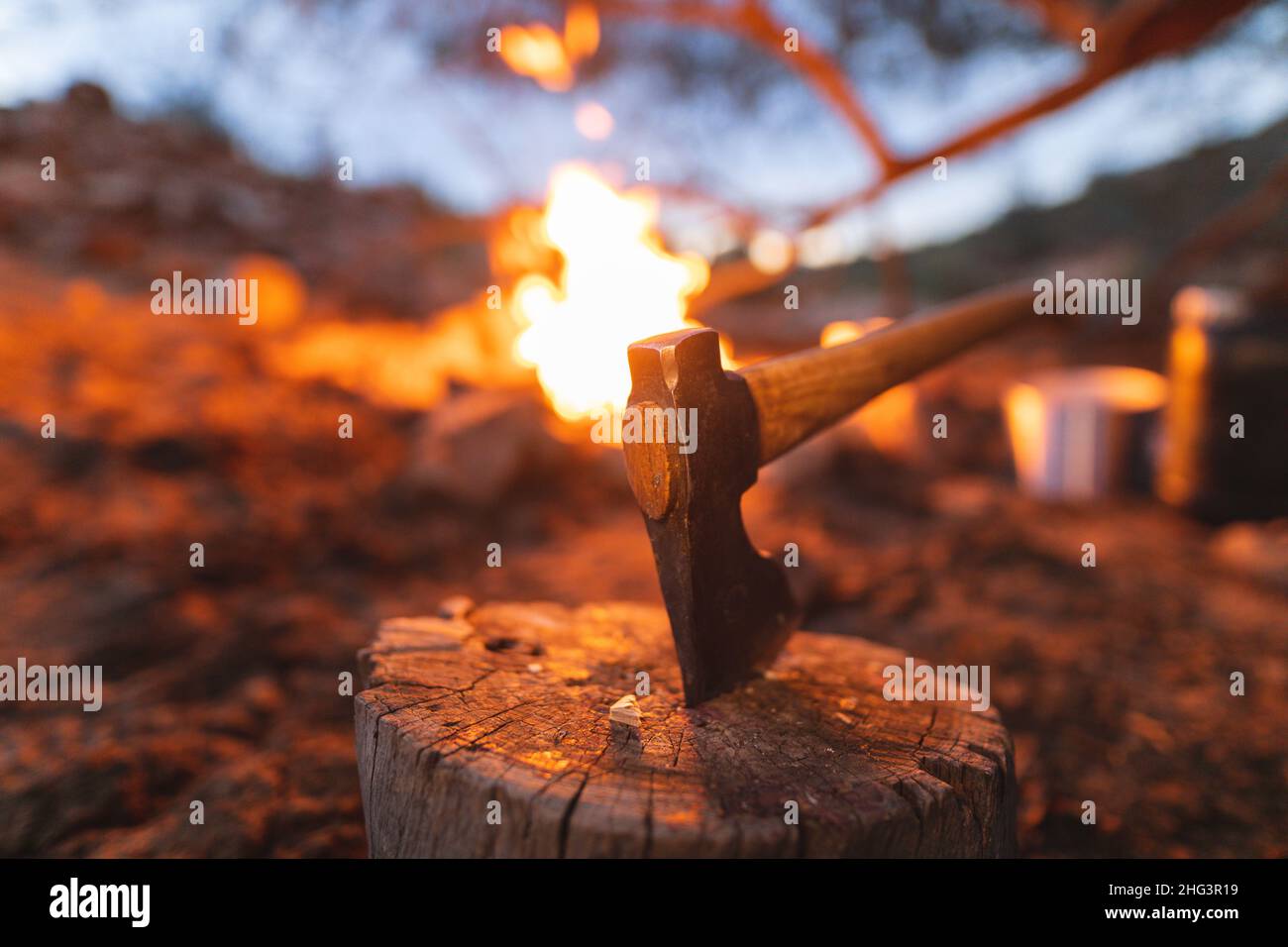 Campfire plant hi-res stock photography and images - Alamy