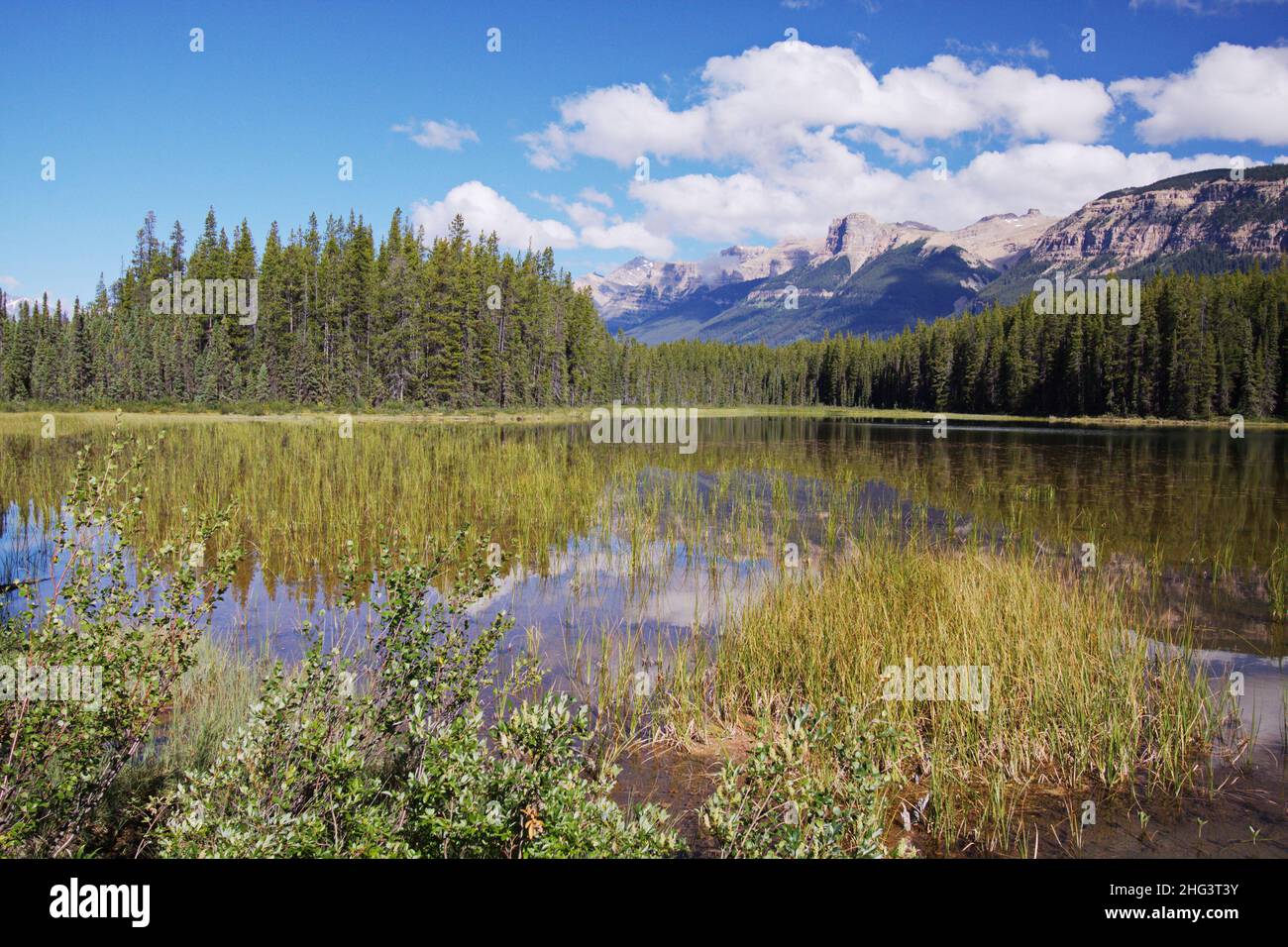 Buck Lake in Jasper National Park,Alberta,Canada,North America Stock ...
