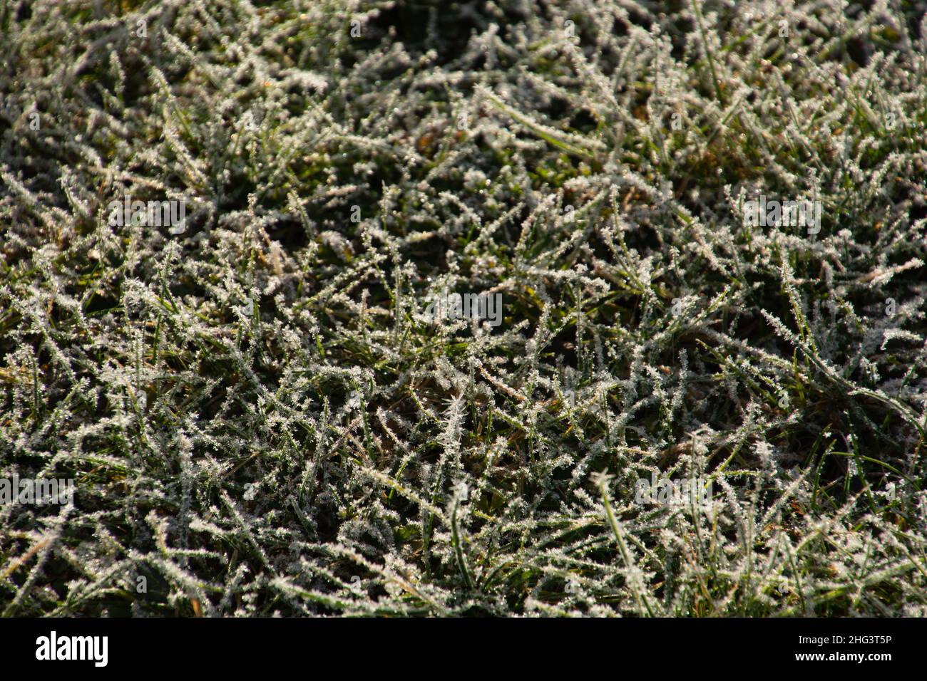 unique Ice crystals on green grass close-up with sun light bokeh Stock ...