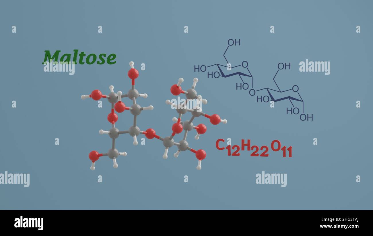 Maltose reducing sugar disaccharide science chemical structure and ...